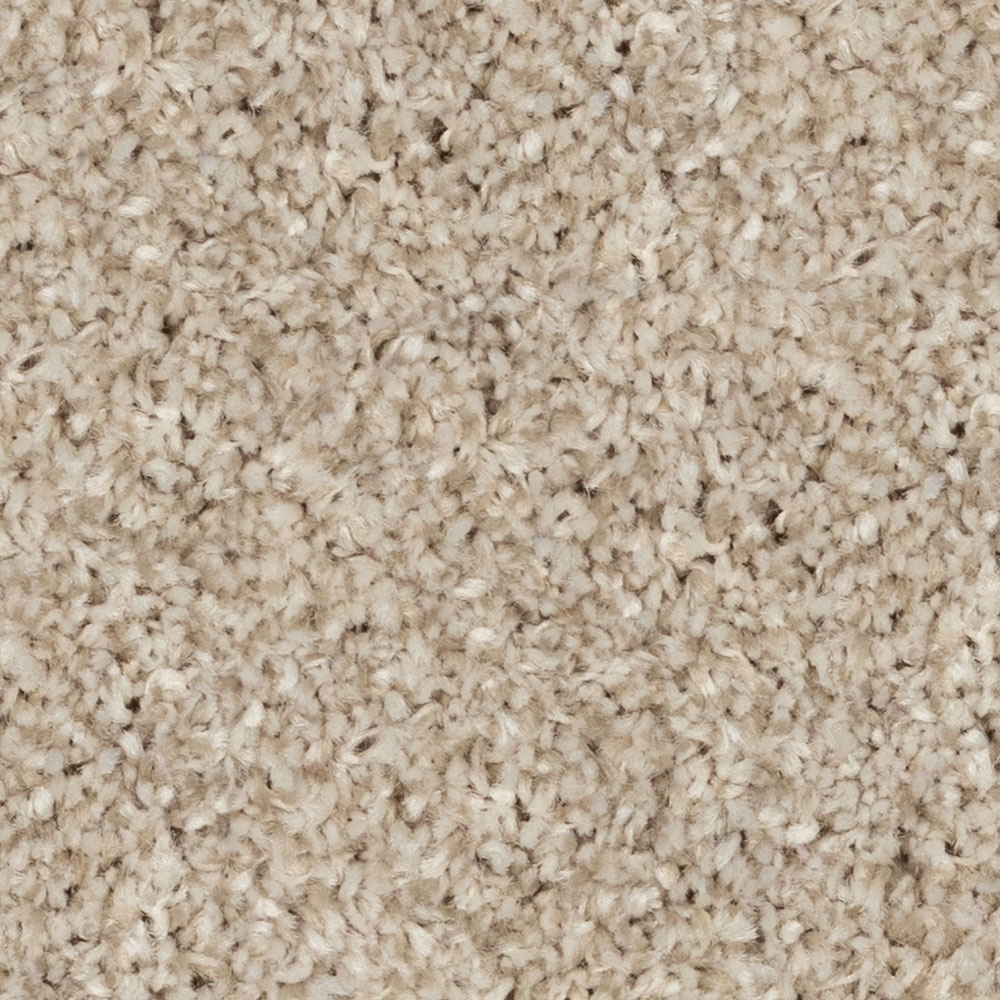 Beaulieu - Broadloom Carpet Cosy Ambiance #13238 Democracy 12' (Sold in ...